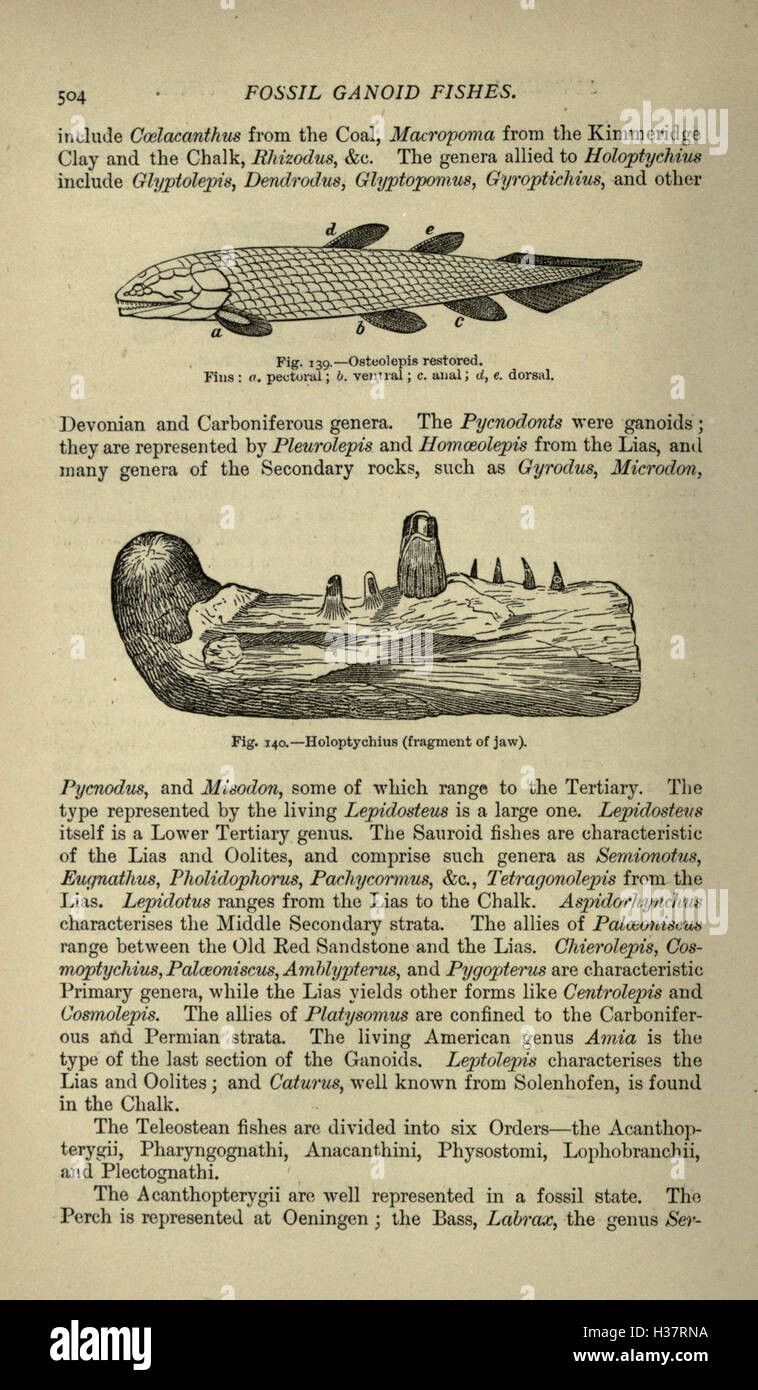 This manual offers both theoretical and practical approaches to geology ...