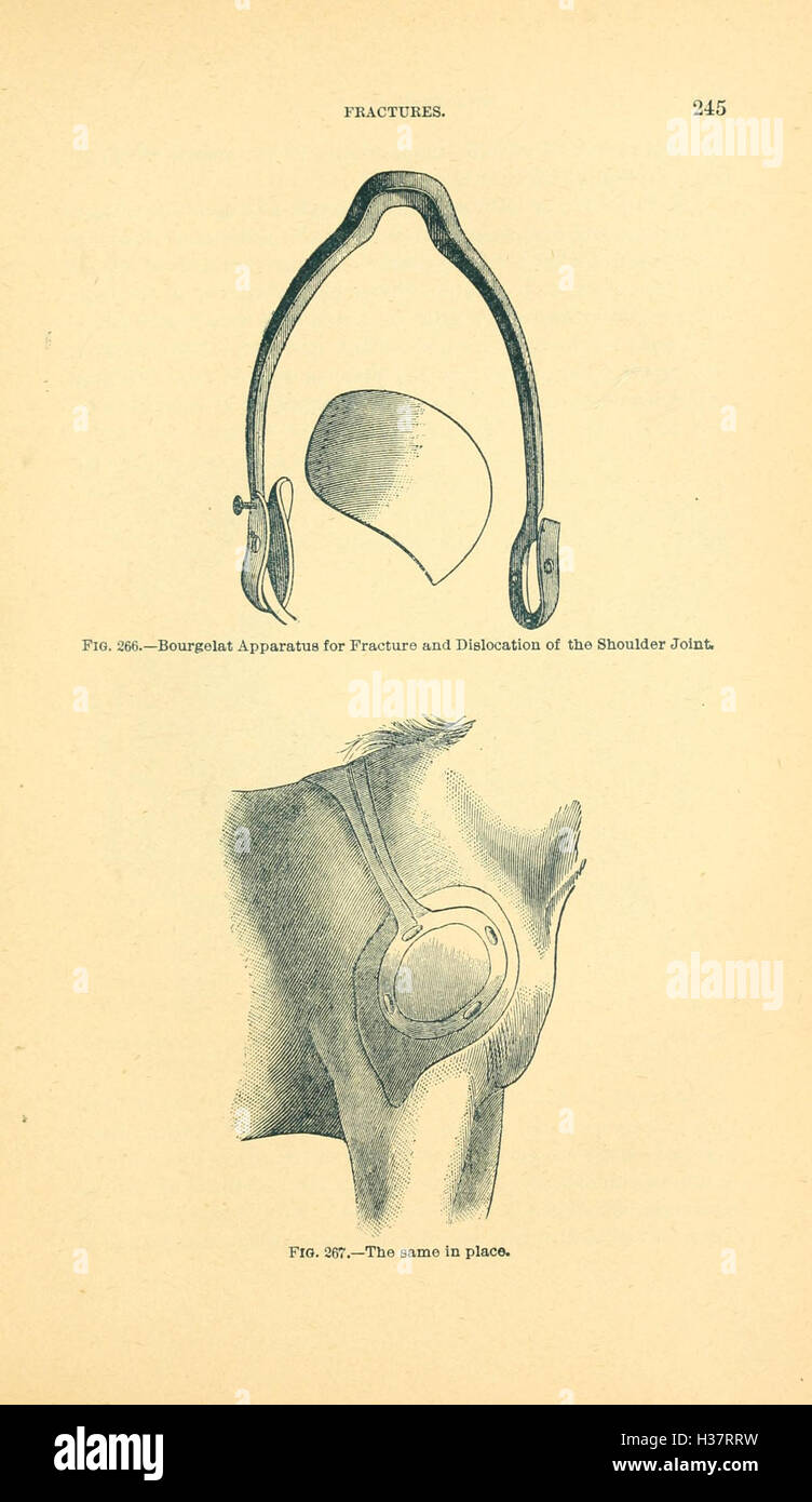 'Manual of Operative Veterinary Surgery' provides essential information ...