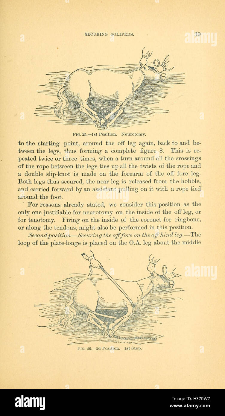 This manual provides instructions for performing various veterinary ...