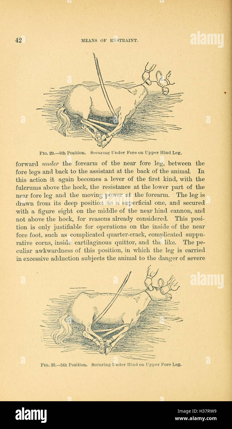This manual offers a comprehensive guide to operative techniques in ...