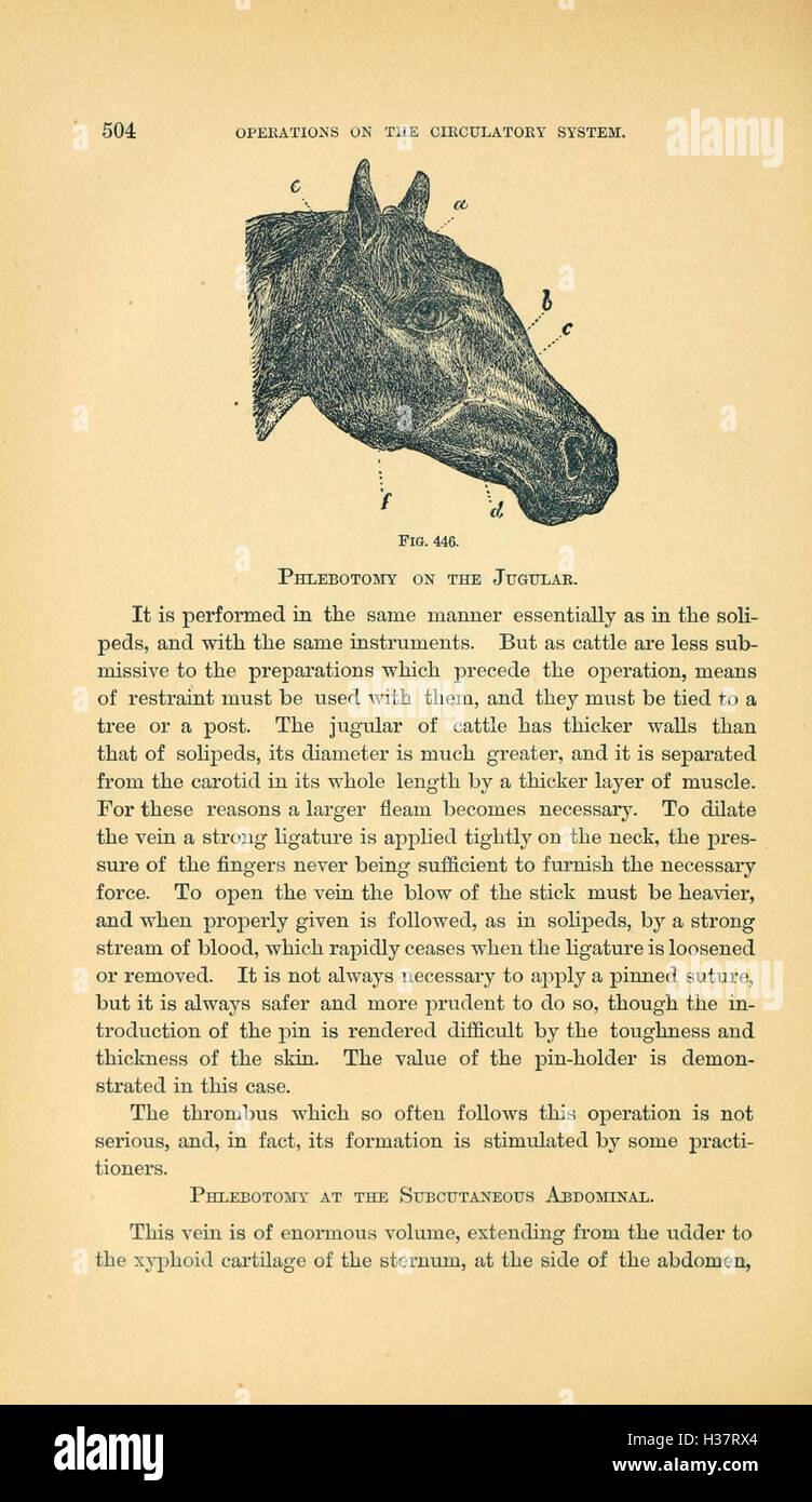 This manual provides guidelines on the practice of veterinary surgery ...