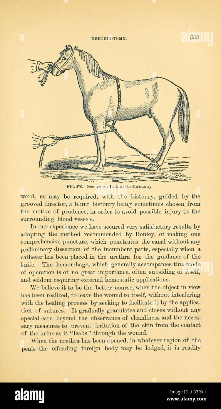 This manual provides detailed instructions on the surgical procedures ...