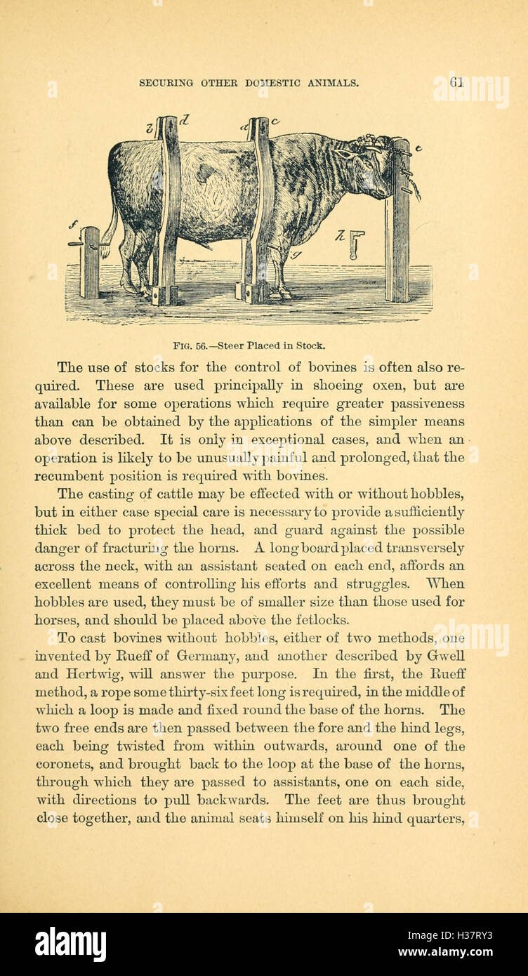 This manual provides detailed instructions on veterinary surgical ...