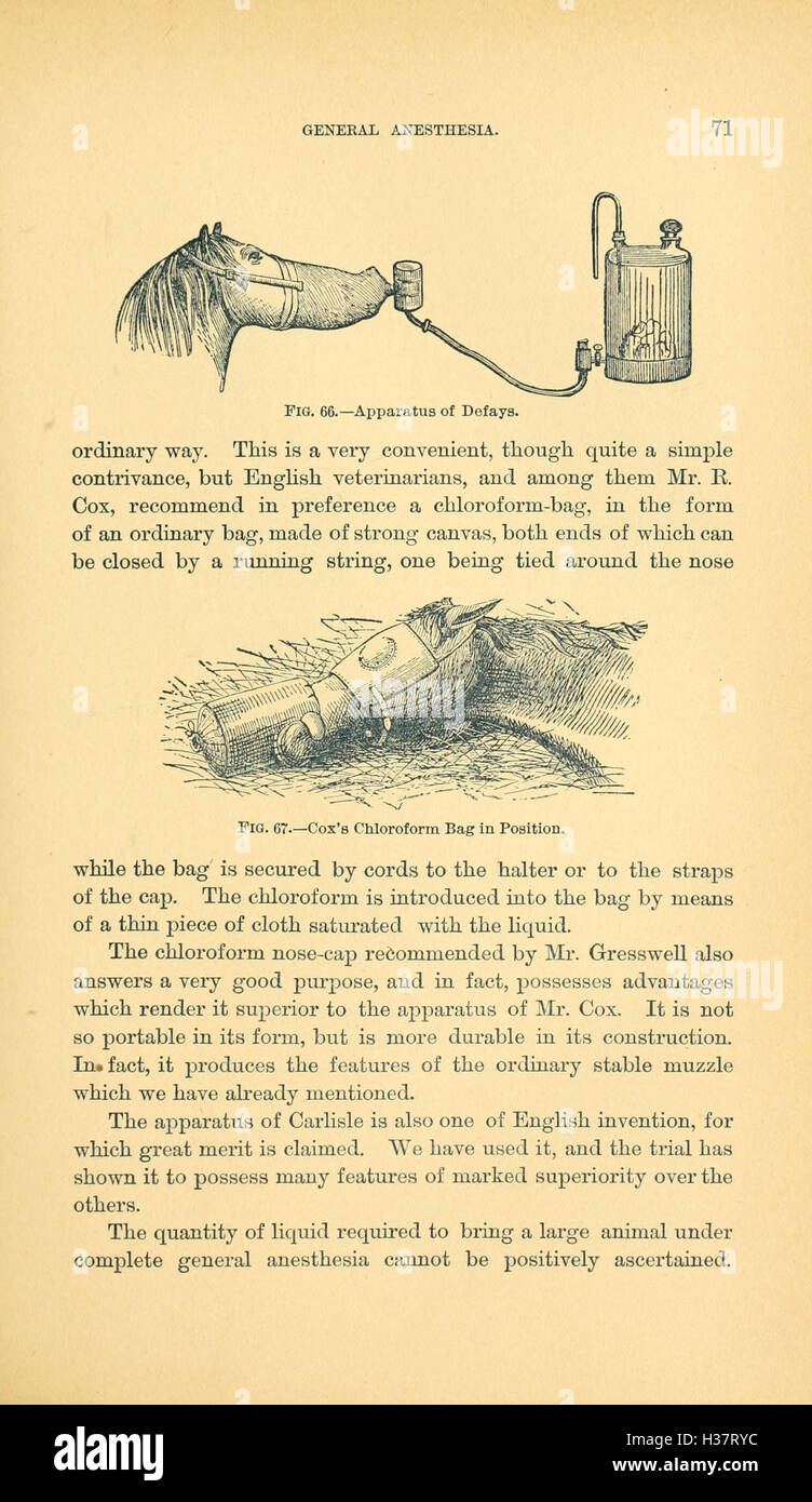 A guide to surgical procedures for veterinary professionals, detailing ...