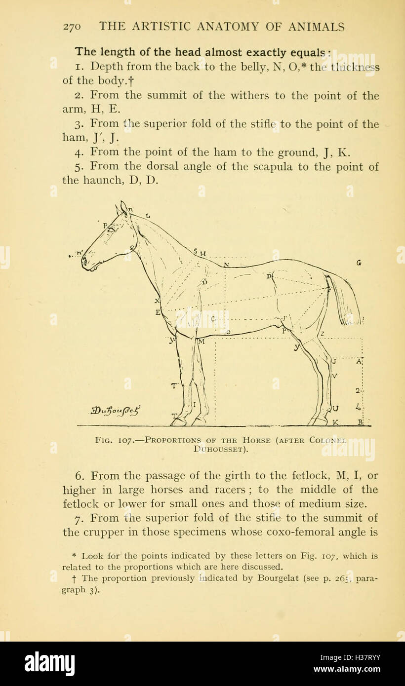 This text explores the anatomical structure of various animals ...