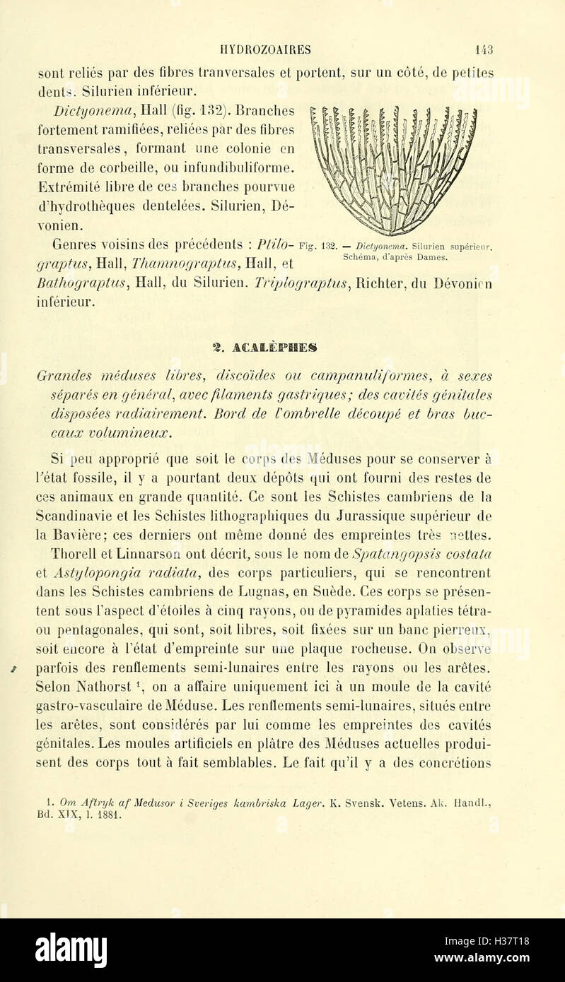 This French manual provides an introduction to paleontology, detailing ...