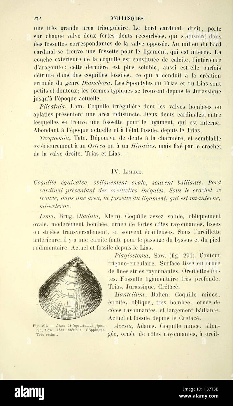 This French manual covers the basics of paleontology, providing an ...