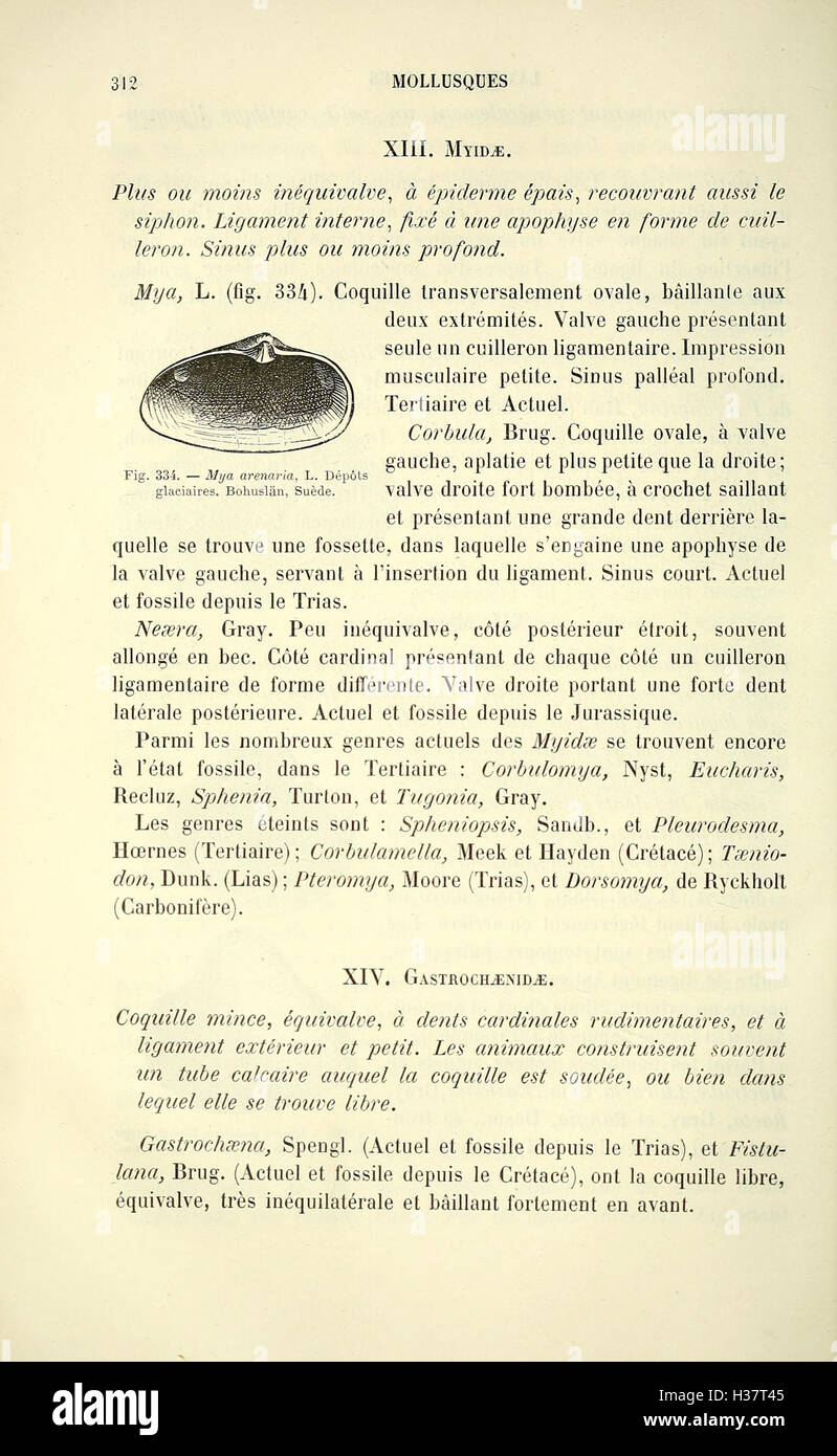 This French work provides an extensive overview of paleontology ...