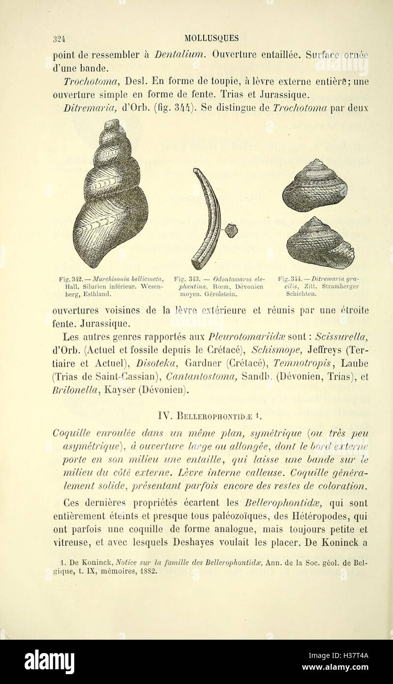 This paleontological manual provides detailed guidelines on fossil ...