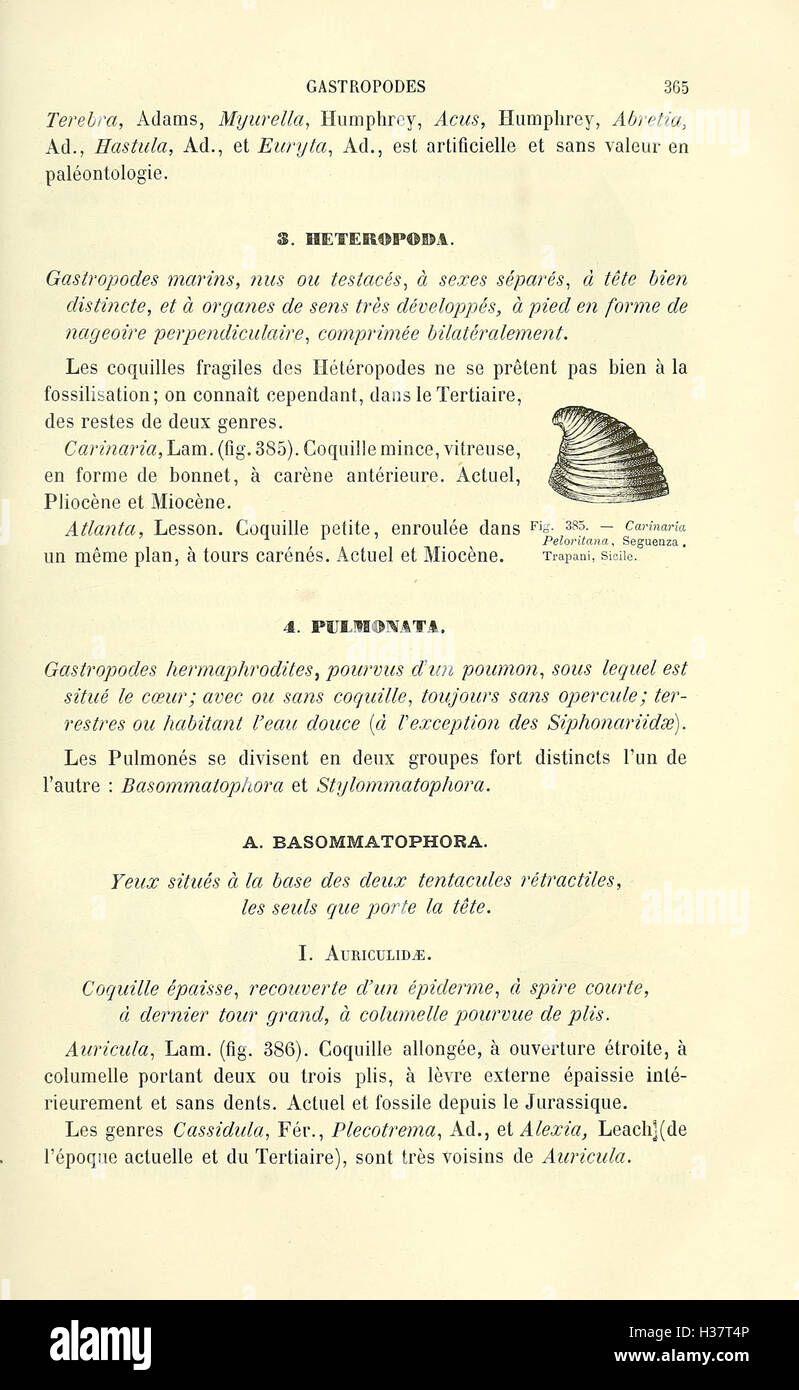 This manual on paleontology provides foundational knowledge of ...