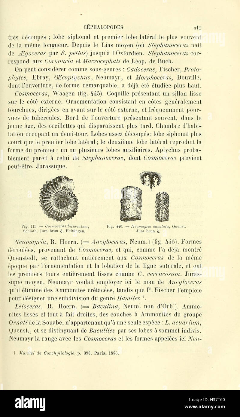 This French manual provides a systematic overview of paleontology ...