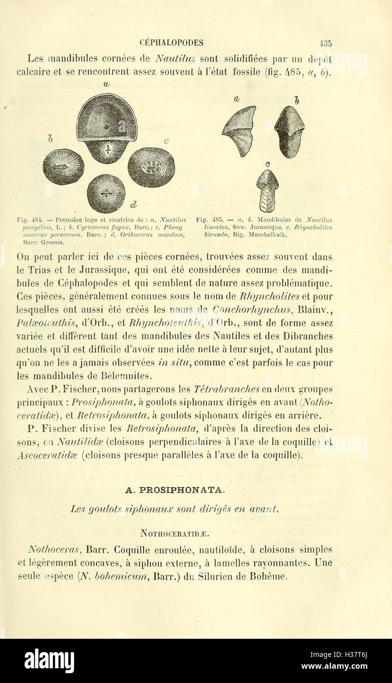 This manual of paleontology offers a detailed study of prehistoric life ...