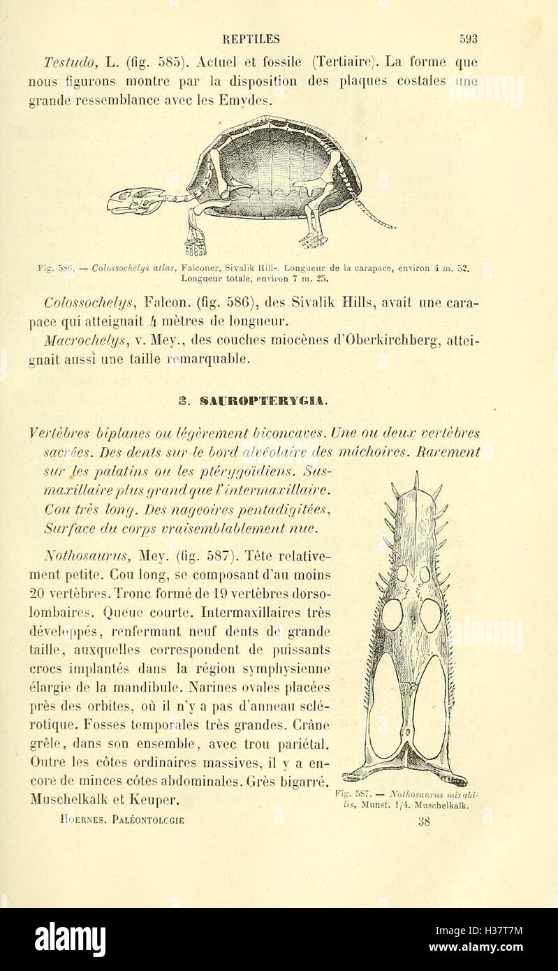 Covering data types hi-res stock photography and images - Alamy
