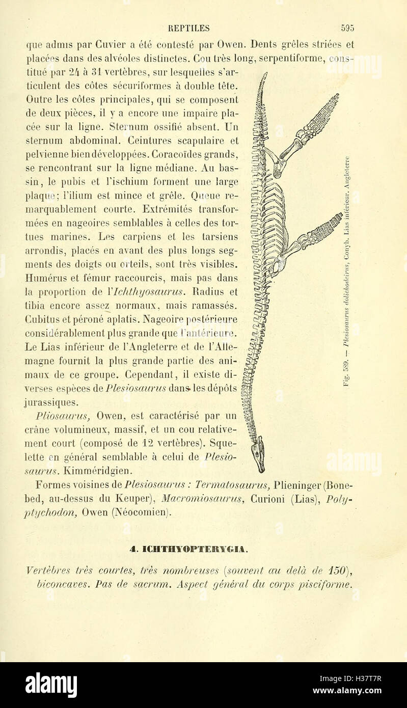 This manual provides a detailed guide to paleontology, including the ...