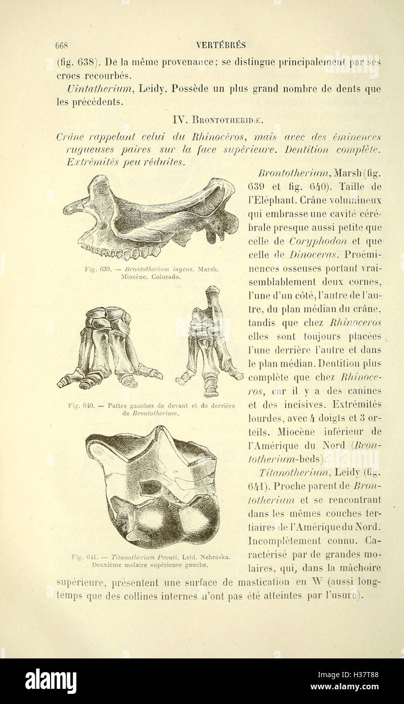 This manual provides a detailed study of paleontology, covering fossil ...