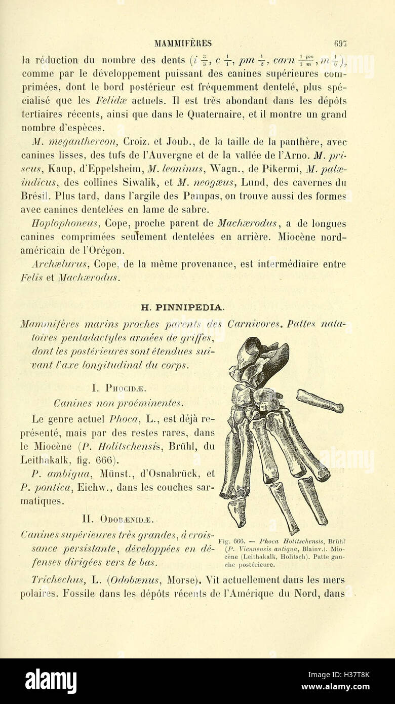 This Manual Provides A Detailed Guide To The Study Of Paleontology