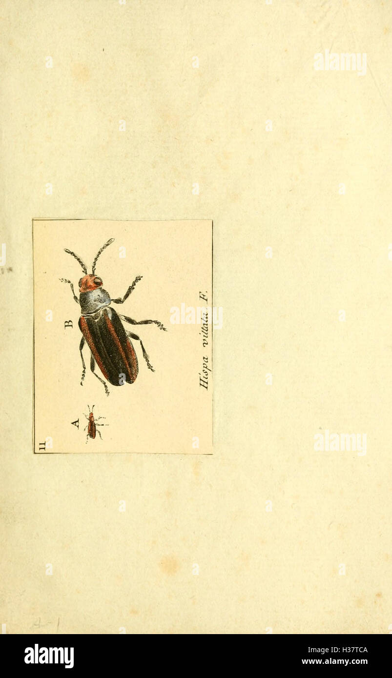 This work provides a detailed study of beetles, covering their taxonomy ...