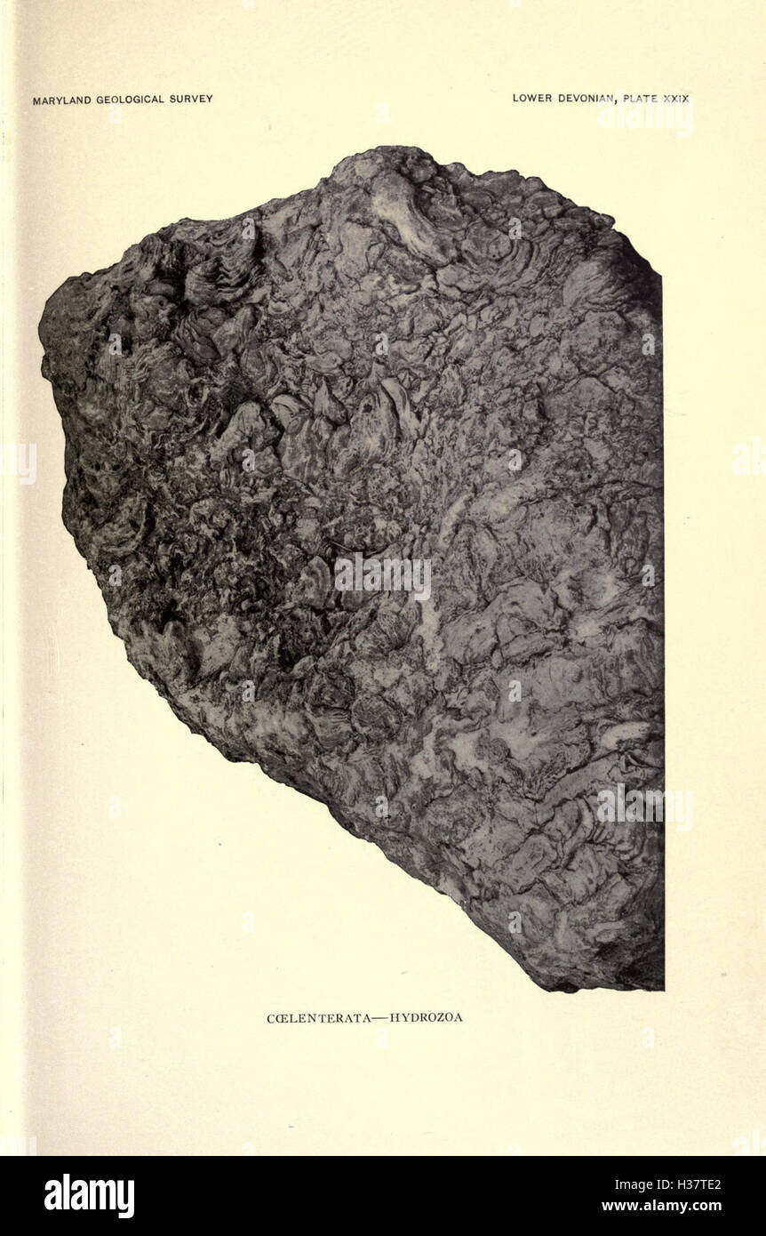 This geological survey provides an in-depth analysis of Maryland’s ...