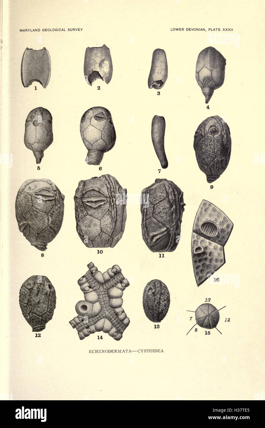 The Maryland Geological Survey provides comprehensive geological data ...