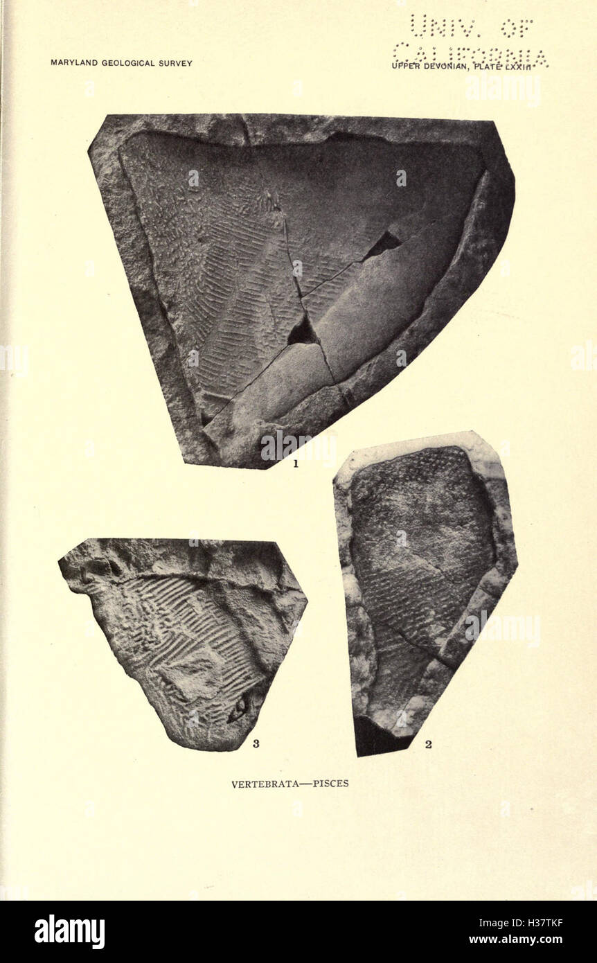 A geological survey report from Maryland, detailing the state's geology ...