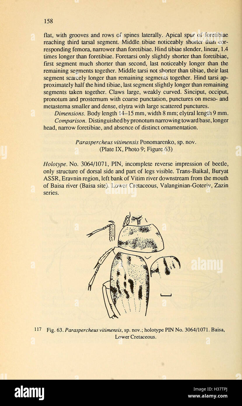 This work covers the study of beetles (Coleoptera) from the Mesozoic ...