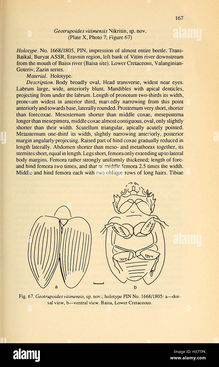 This study explores the fossilized Coleoptera (beetles) from the ...