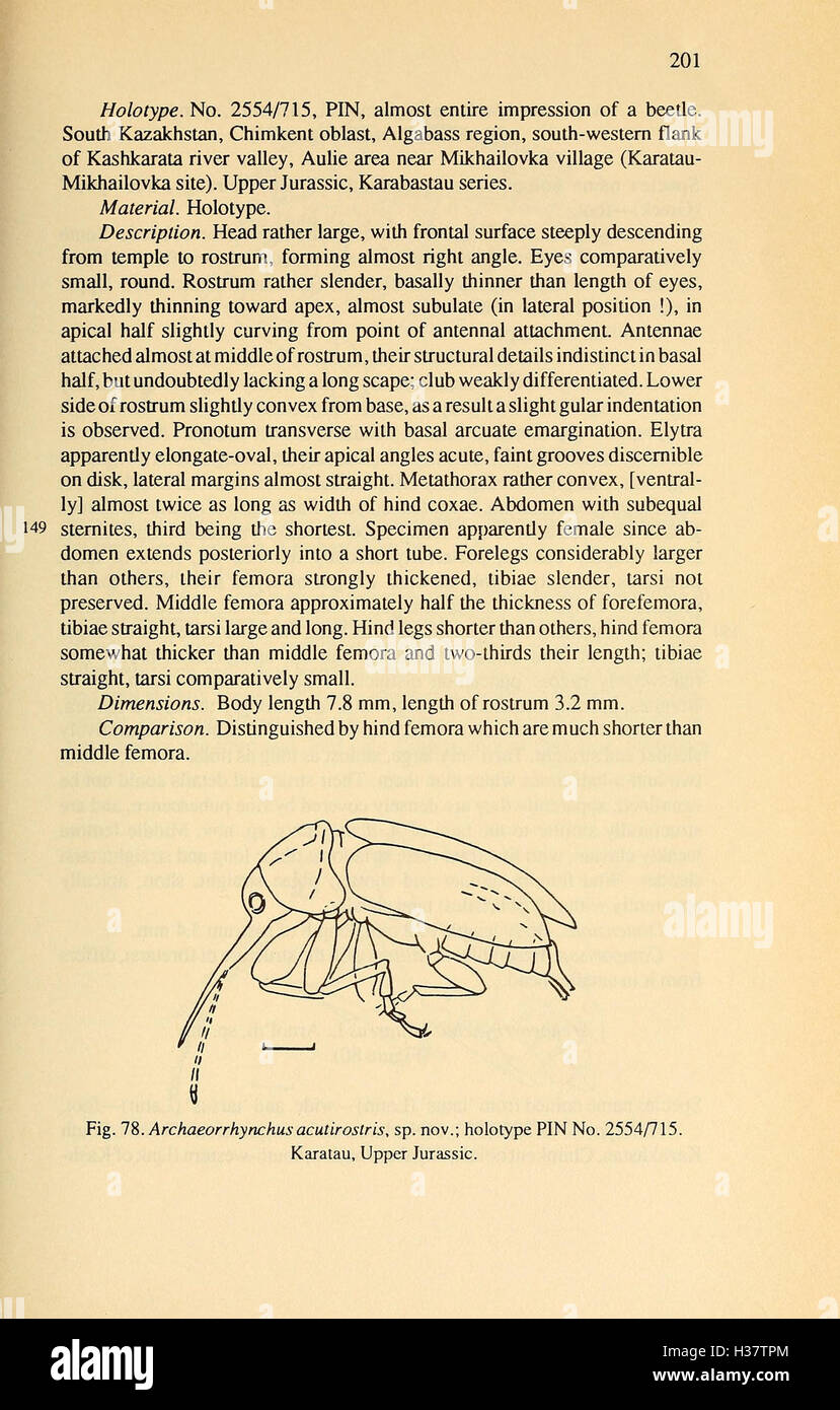 This work explores Mesozoic-era beetles, providing insights into the ...