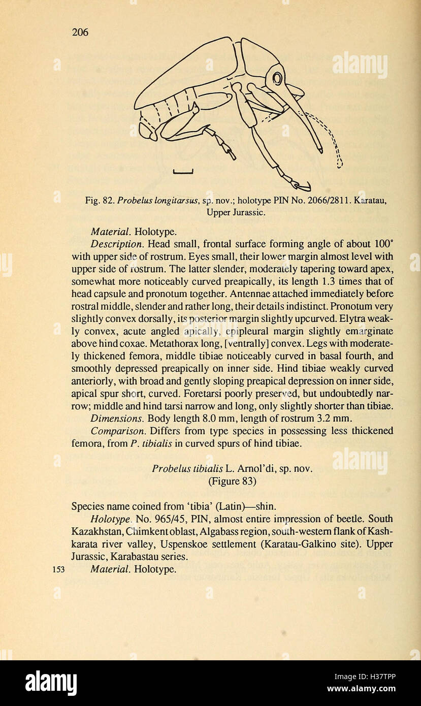 This study focuses on the beetles of the Mesozoic era, detailing their ...