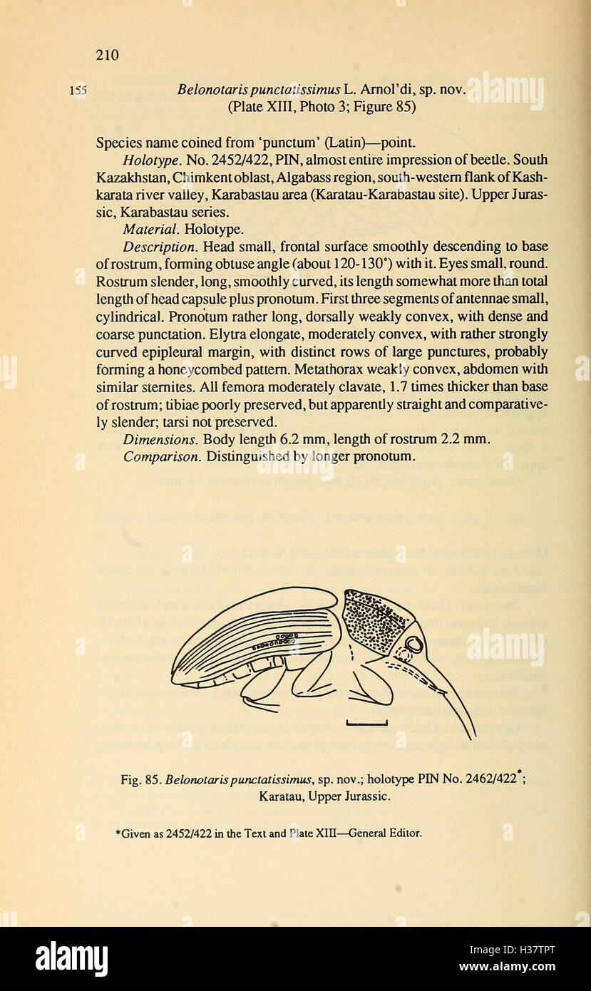 This page provides a study of Mesozoic-era beetles (Coleoptera ...
