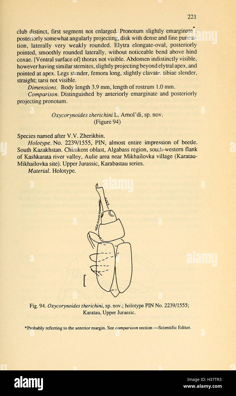 This work explores the history of beetles from the Mesozoic era ...