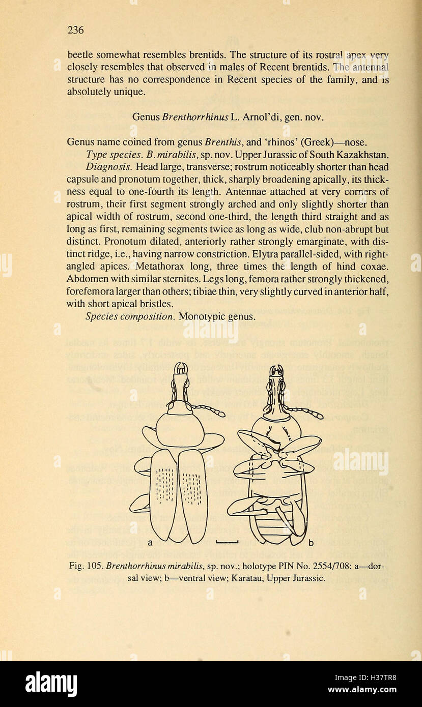 This study focuses on the Coleoptera (beetles) from the Mesozoic era ...