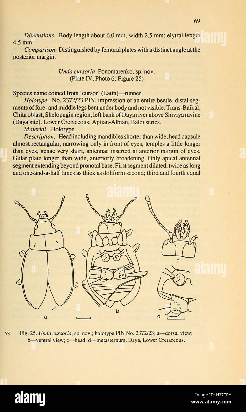 A study on Mesozoic beetles, describing the various species from this ...