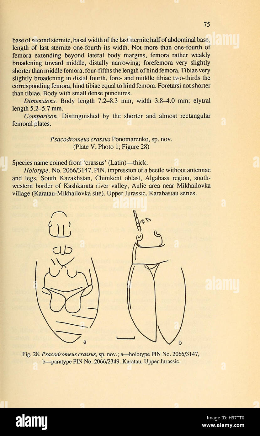 This work examines the Mesozoic era Coleoptera, focusing on the beetles ...