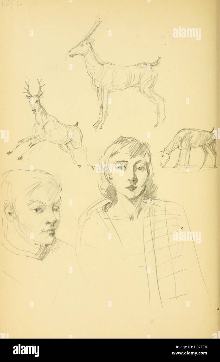 This work explores the anatomical structures of various animals through ...