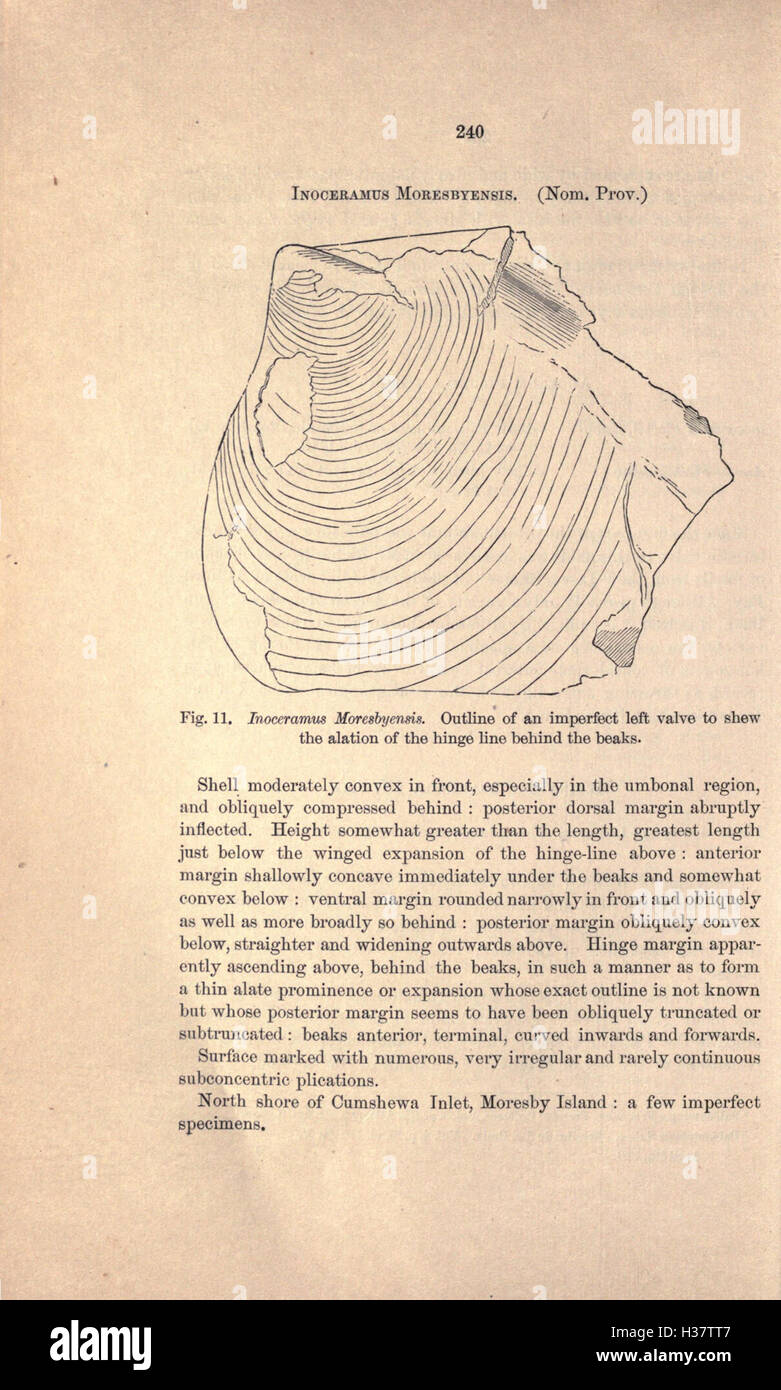 This text focuses on Mesozoic fossils, exploring the fossils from this ...