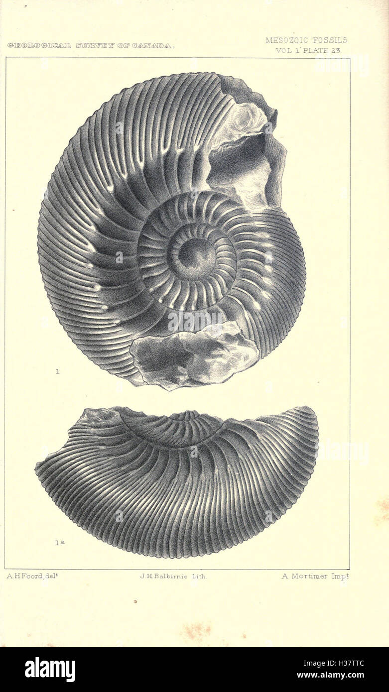 Mesozoic map hi-res stock photography and images - Alamy