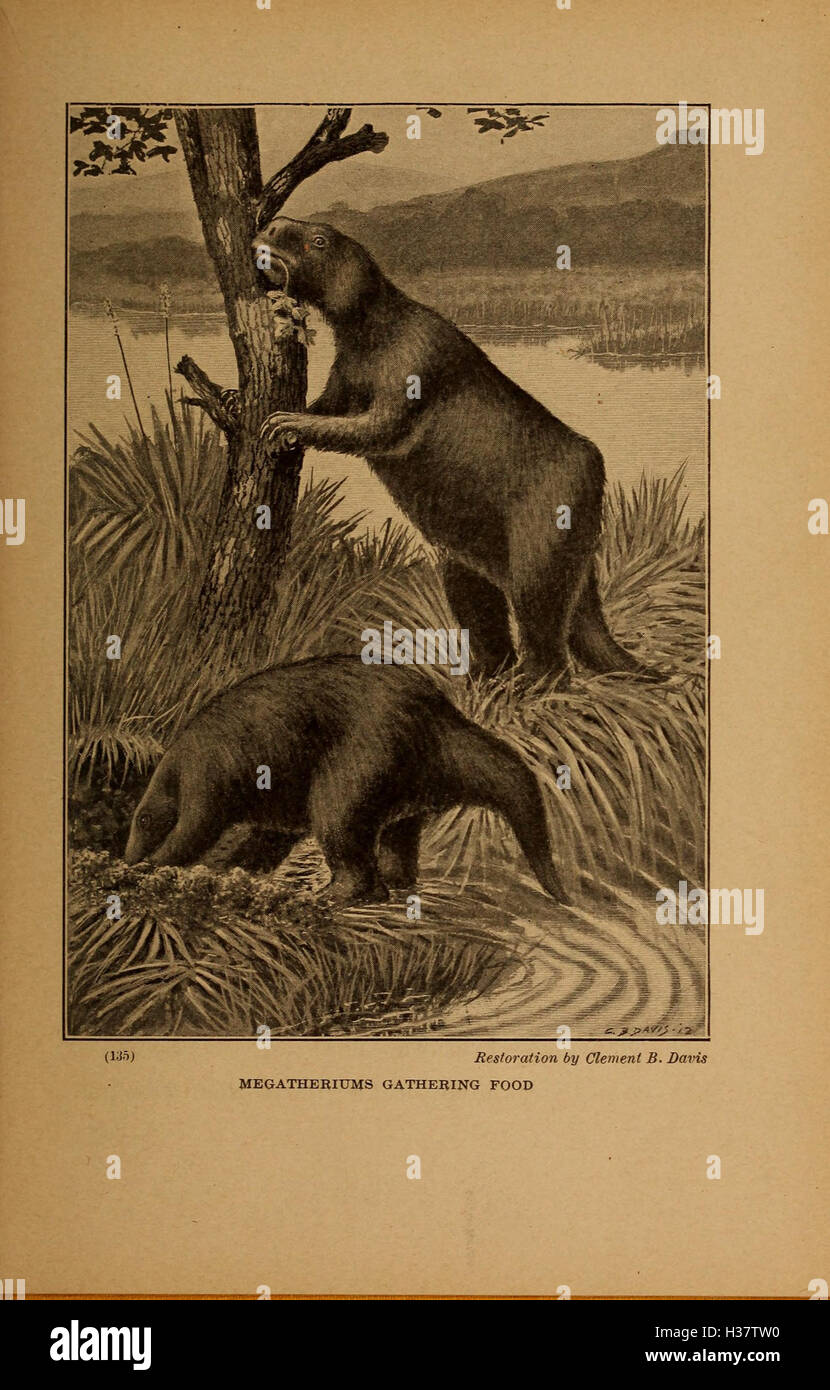 This page explores various large and powerful animals, discussing their ...