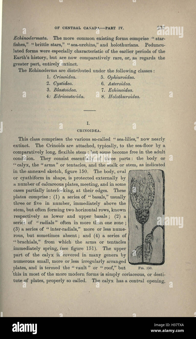 Work examines geology mineralogy hi-res stock photography and images ...
