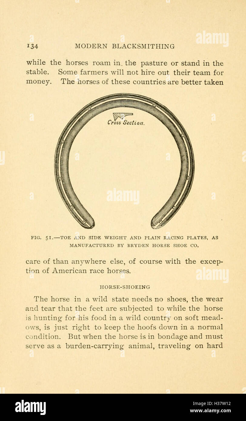 This work examines modern blacksmithing techniques, covering tools ...