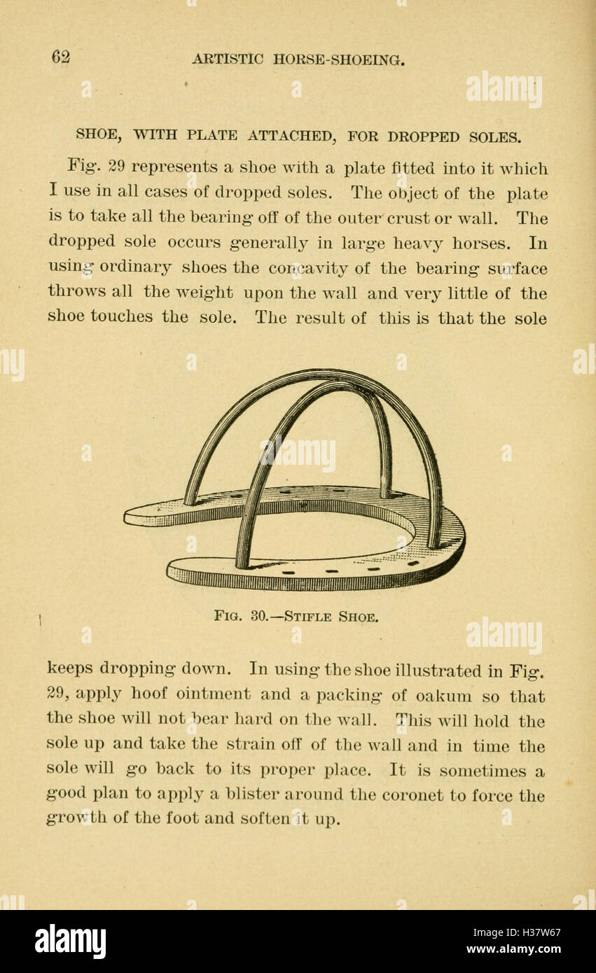 This page explores the art of horse-shoeing, focusing on both the ...
