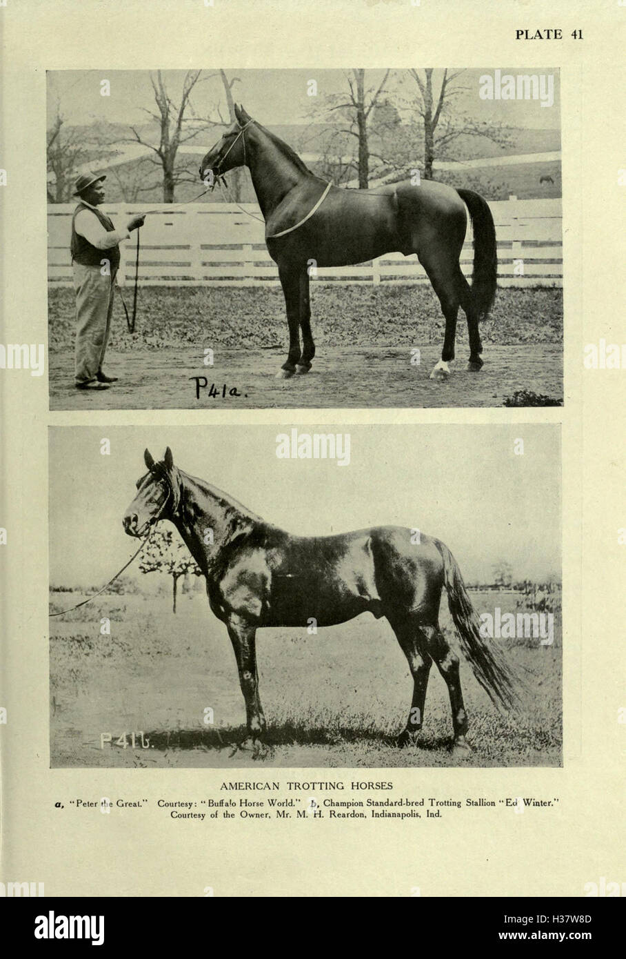 This work offers comprehensive guidance on modern methods of horse ...