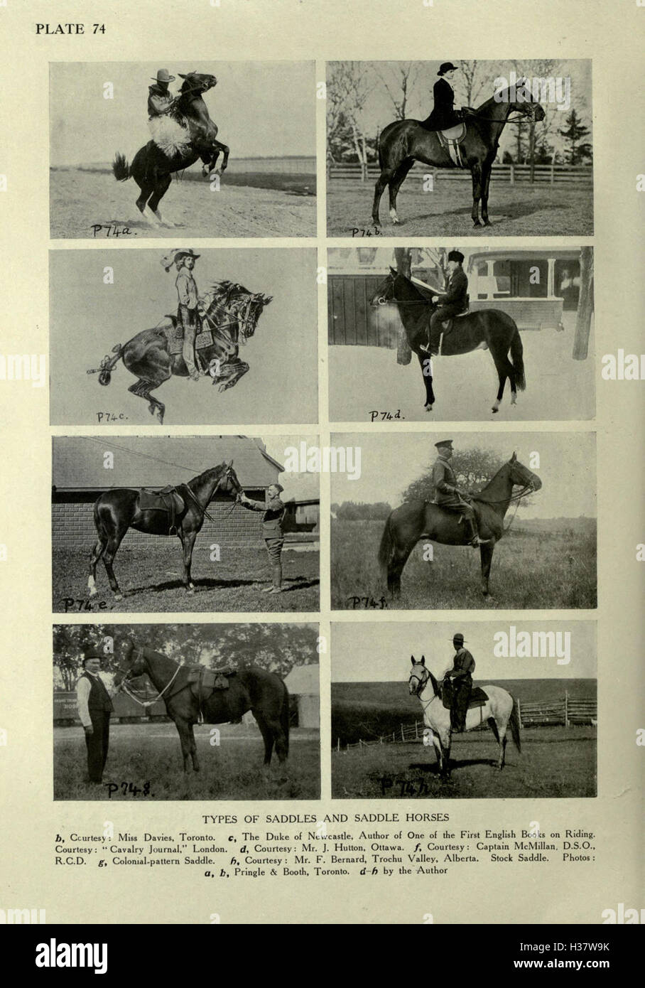 This work covers contemporary methods of horse care and management ...