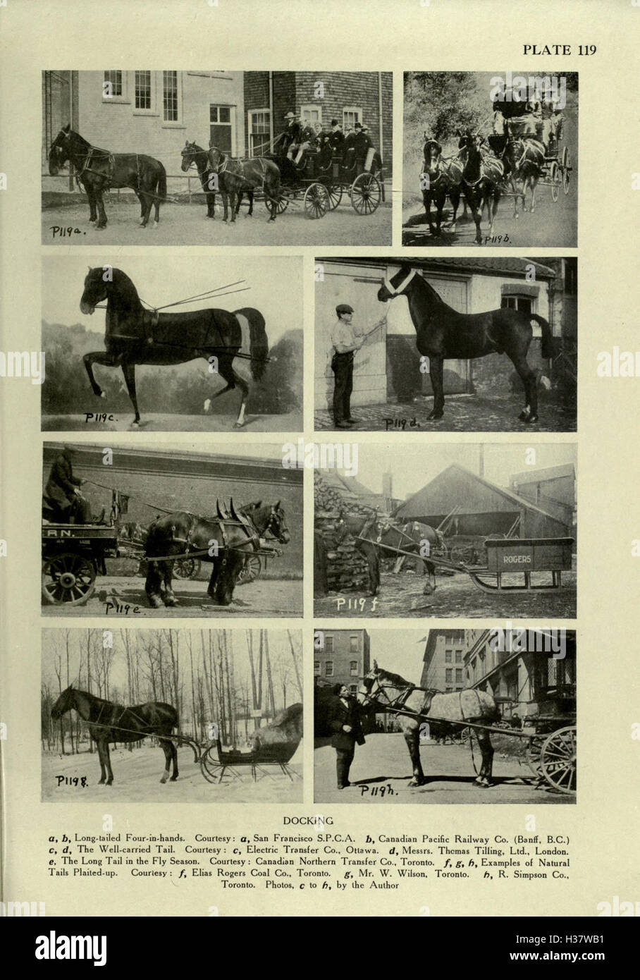 This text covers contemporary methods of horse management, focusing on ...