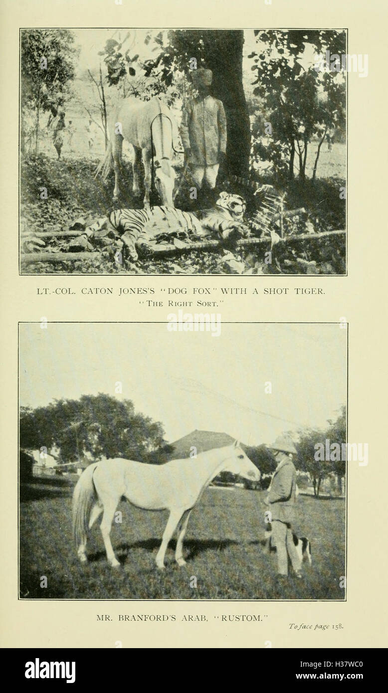 This work discusses the practice of pig-sticking, a form of hunting ...
