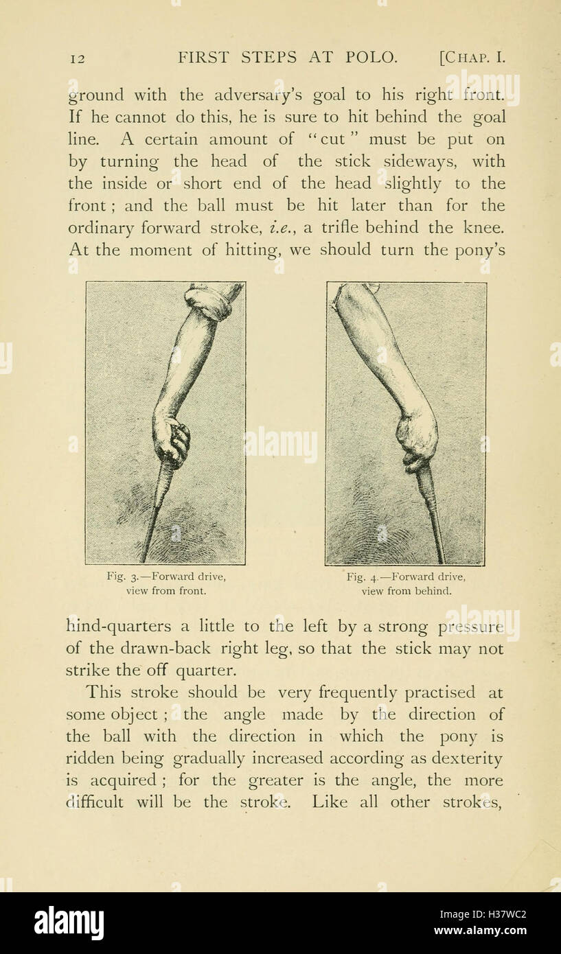 A modern guide to the sport of polo, detailing its rules, equipment ...