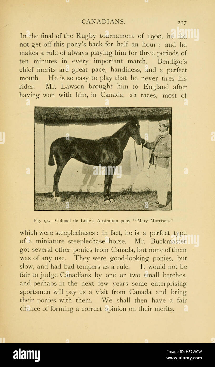 An informative work on the modern game of polo, covering its rules ...