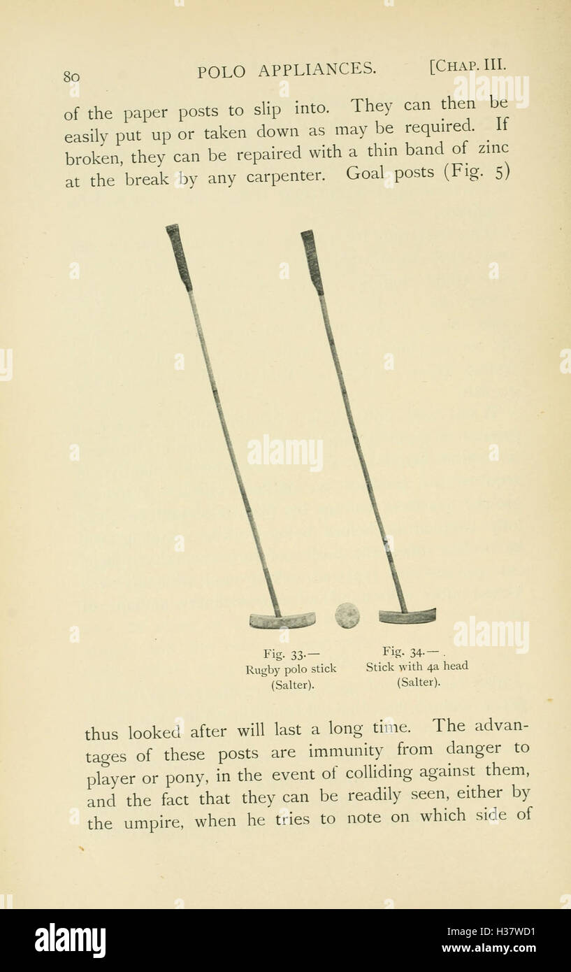 This book focuses on the sport of polo, detailing its history, rules ...