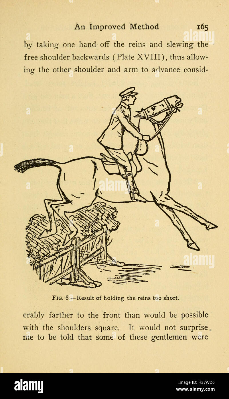 A guide to modern horseback riding techniques and the education of ...