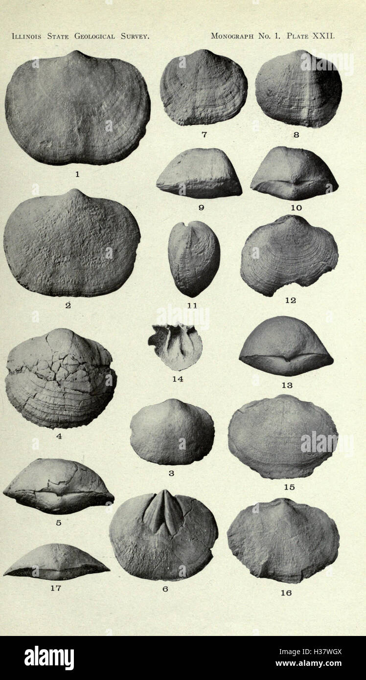 Monograph 1 covers a detailed study on a specific biological subject ...