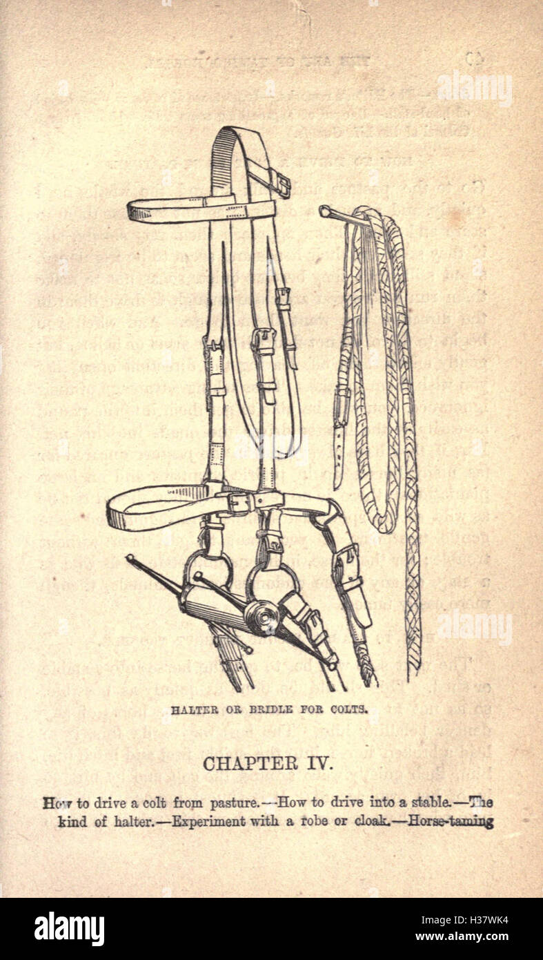 An instructional guide on the methods and techniques of taming horses ...